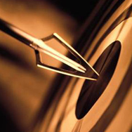 Afnan Incorporate - Fresh Fruits - Fresh Vegetables - Fresh Juices ...